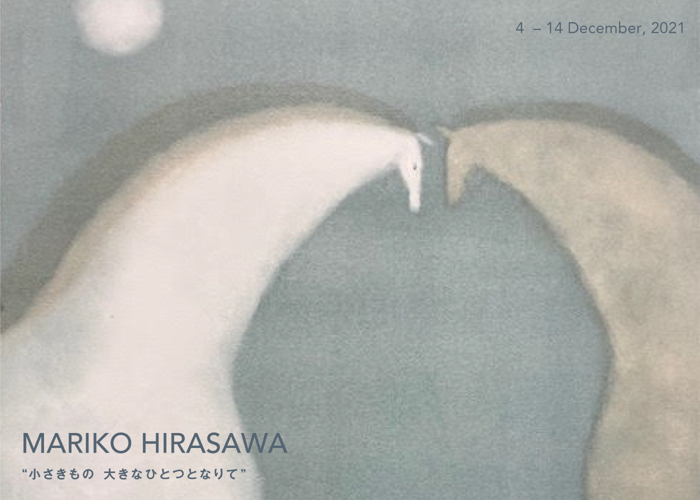 Hirasawa_topC_202112 | doinel / ドワネル